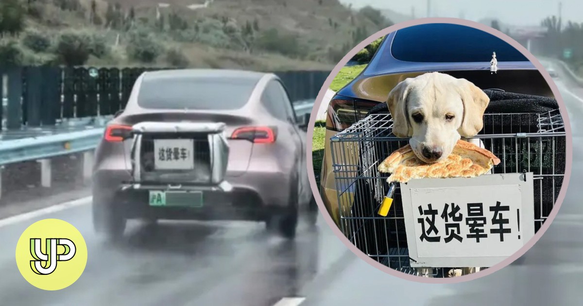 Spark Study Buddy (Explorer): Shanghai man’s 13,000km trip with carsick ...
