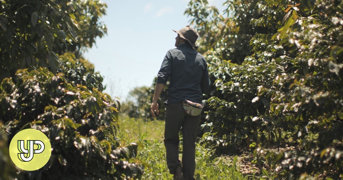 ‘Kiss the Ground’ film review: Soil is the hero in new Netflix ...