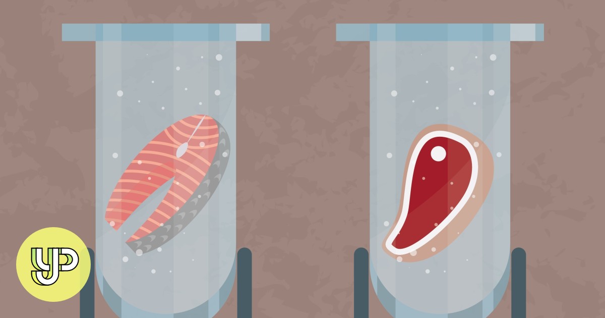 Hong Kong cooks up lab-grown fish as demand for clean meat rises ...