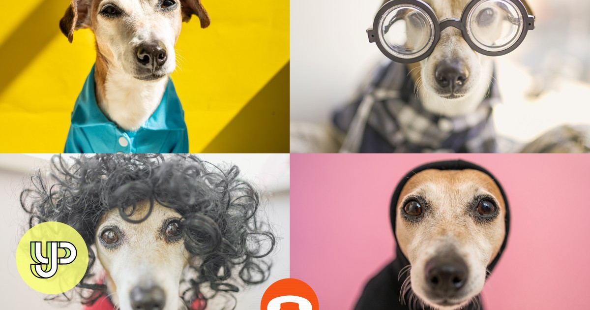 10 funny YouTube videos for when you need a laugh - Young Post | South ...