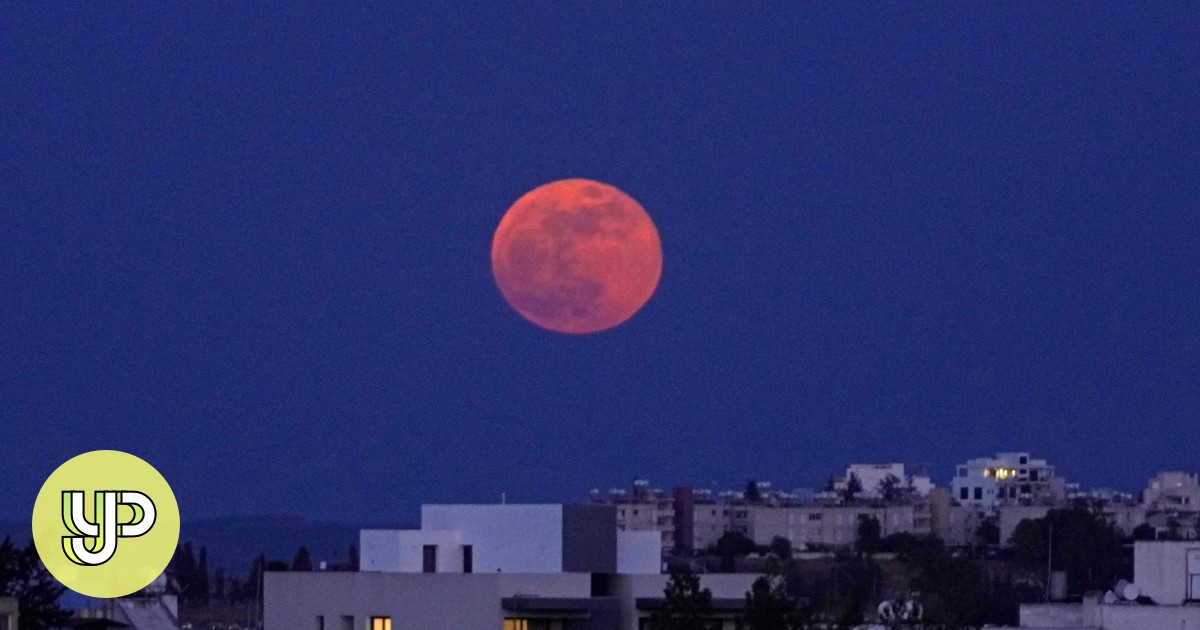 Missed the super flower blood moon? Check out these spectacular photos ...