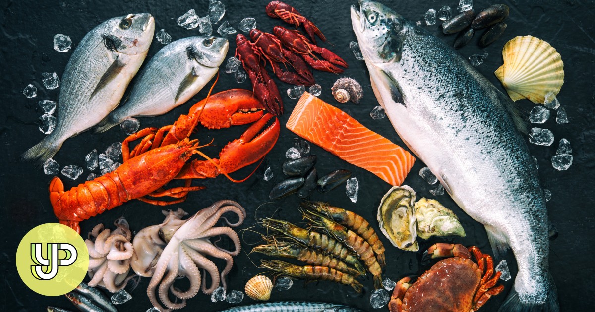 How Hong Kong can choose more sustainable seafood, just in time for ...