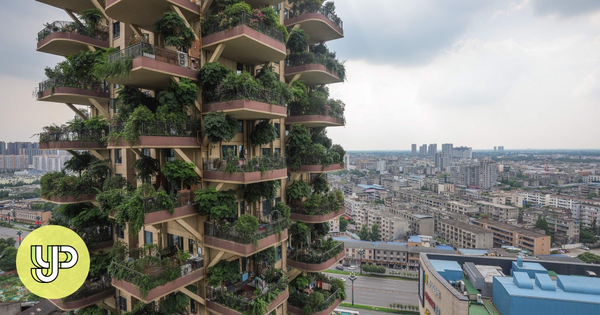 Are these 5 eco-friendly initiatives actually worthwhile? - Young Post ...