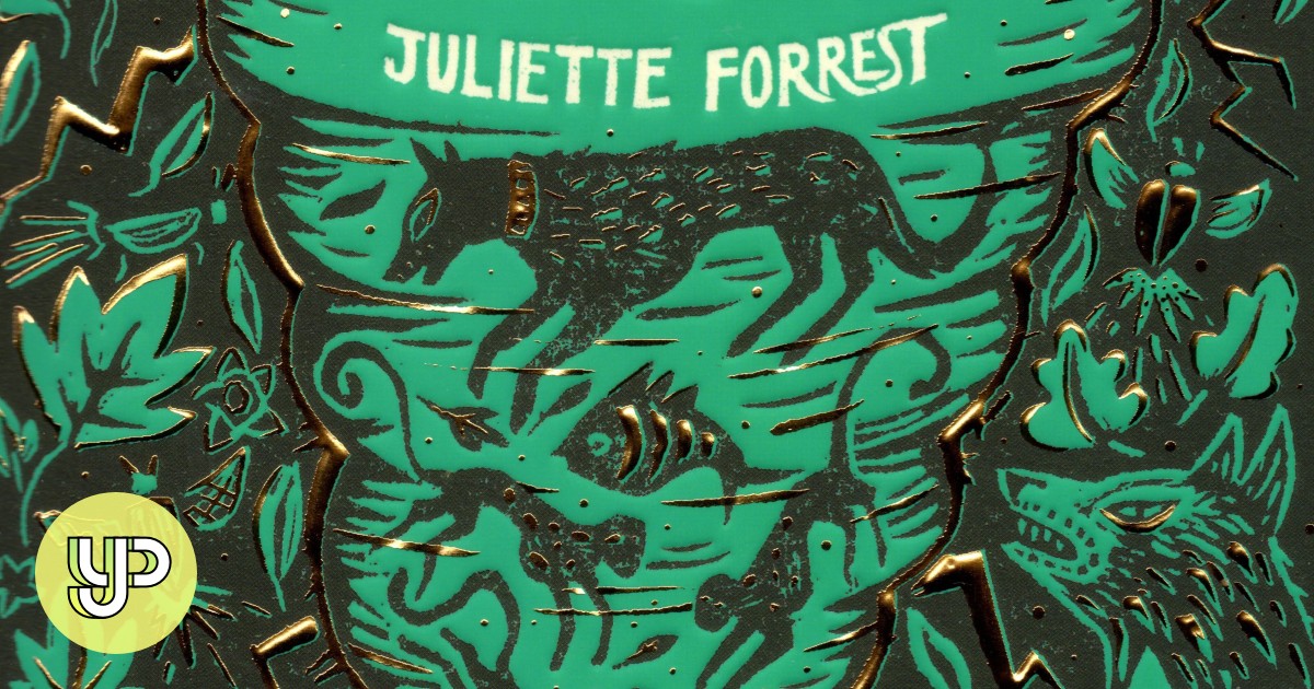 Twister is a whirlwind of a story by Juliette Forrest [Review] - YP ...