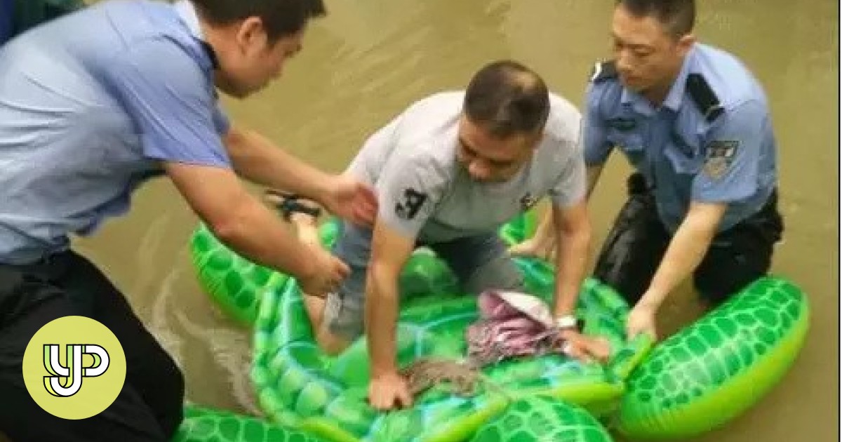 Inflatable turtle saves 13 people trapped in a flood in China - Young ...