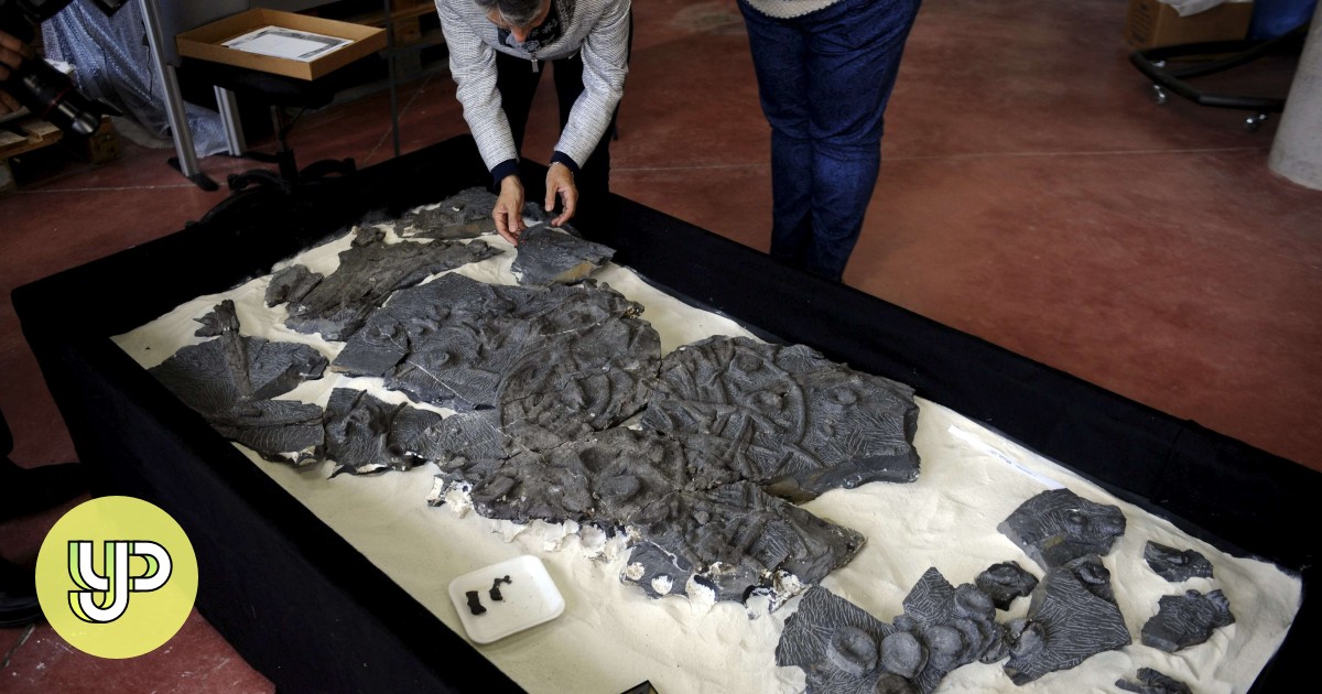 Prehistoric global warming wiped out sea dragons - Young Post | South China Morning Post