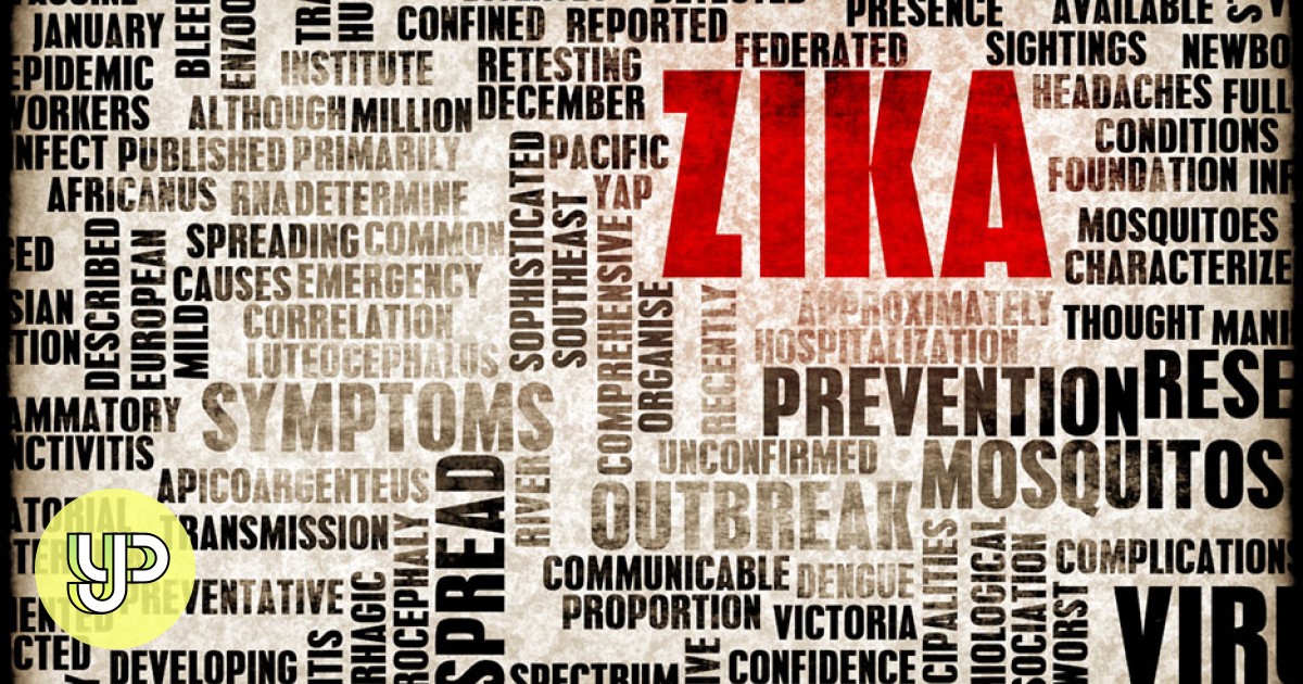 China's first Zika case travelled through Hong Kong and Shenzhen ...