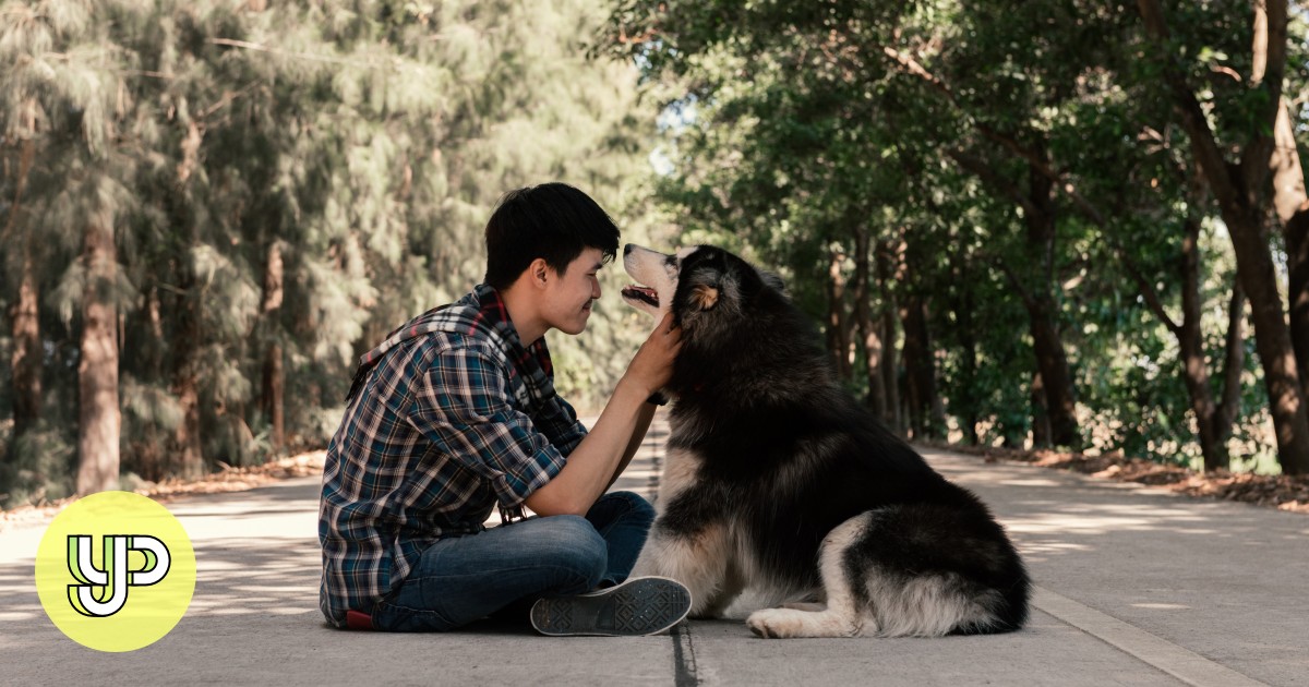 I say: If you could have any pet, what would it be and why? - Young ...