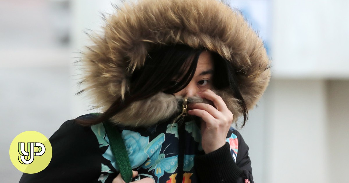 Cold weather predicted for Chinese New Year - Young Post | South China ...