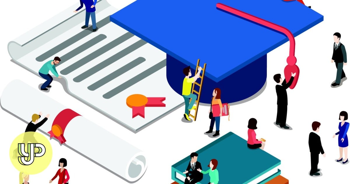 7 tips to help you get the most out of first-year university - YP ...