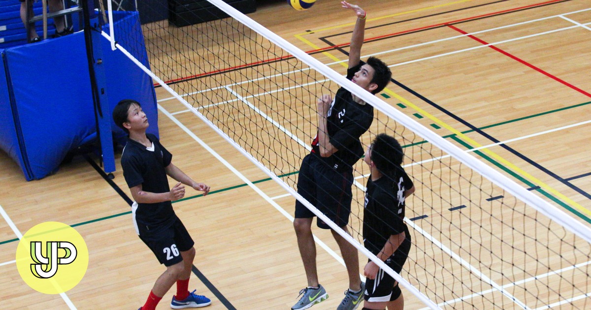 Double volleyball success for Discovery College girls' team and Yew ...