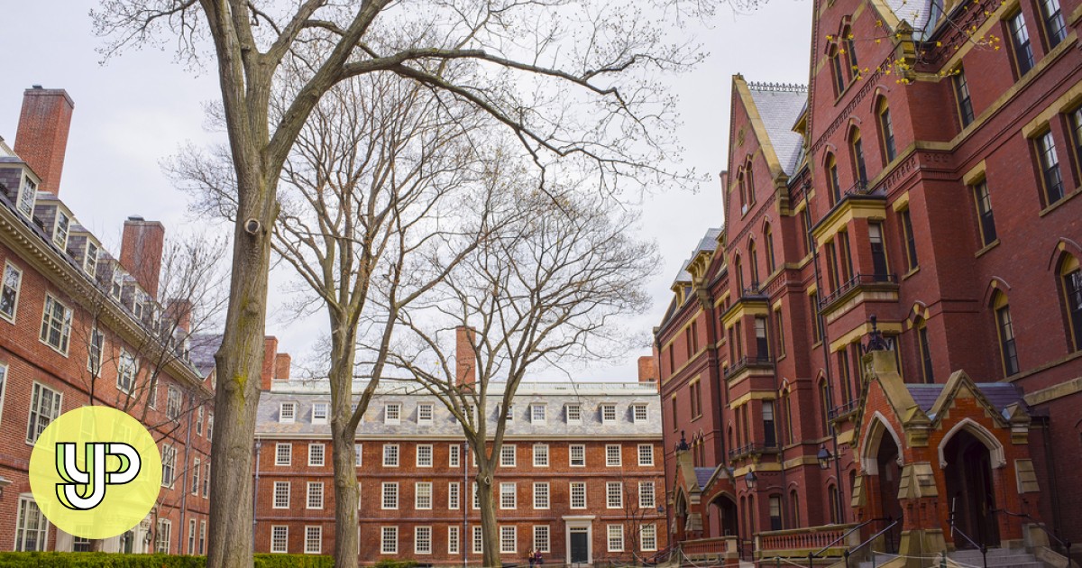 How to write an admissions essay Harvard, Yale, MIT, and other top ...