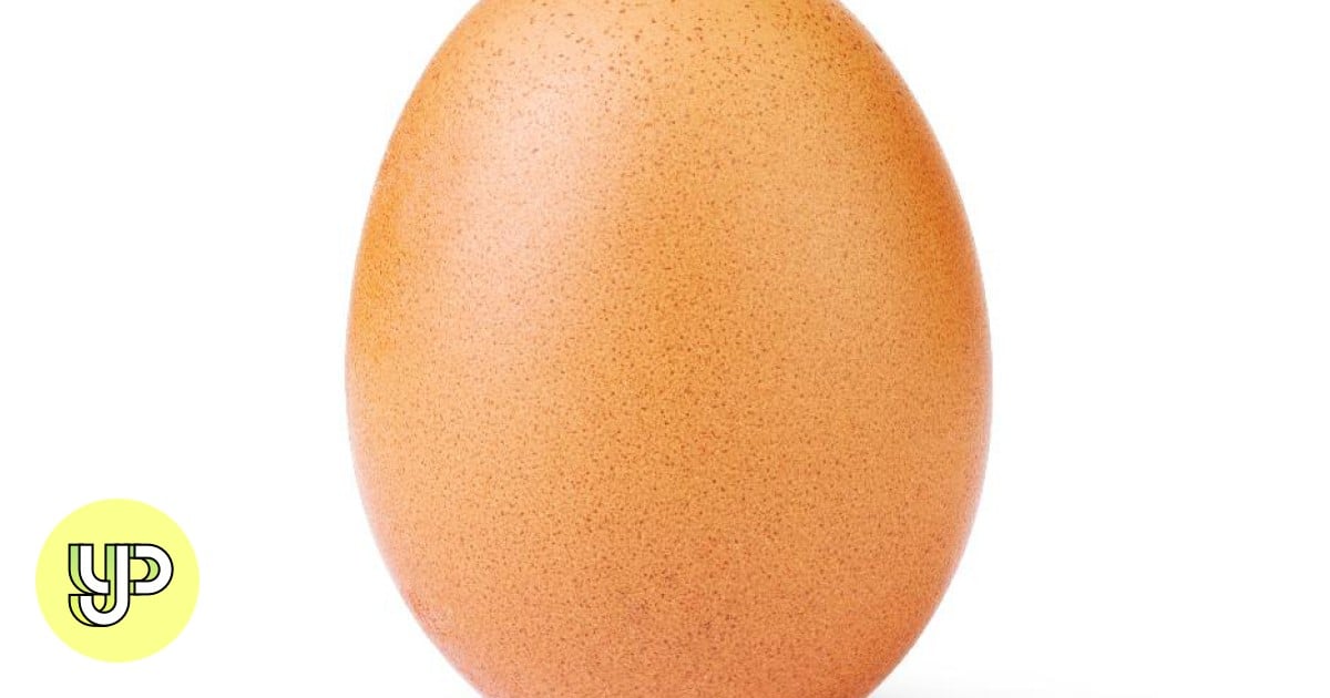 YP EXCLUSIVE: The masterminds behind the record-breaking Instagram egg ...