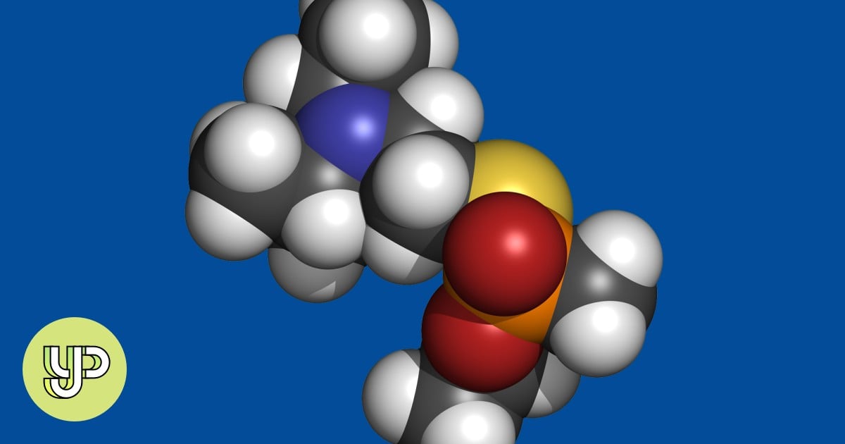 VX - all you need to know about the poison in the North Korean drama ...