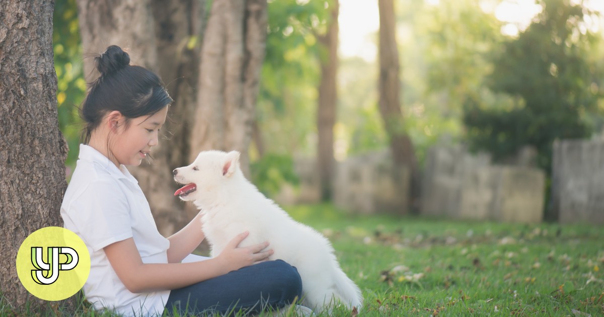 War Horse competition entry by Mok Tin-yan - Young Post | South China ...