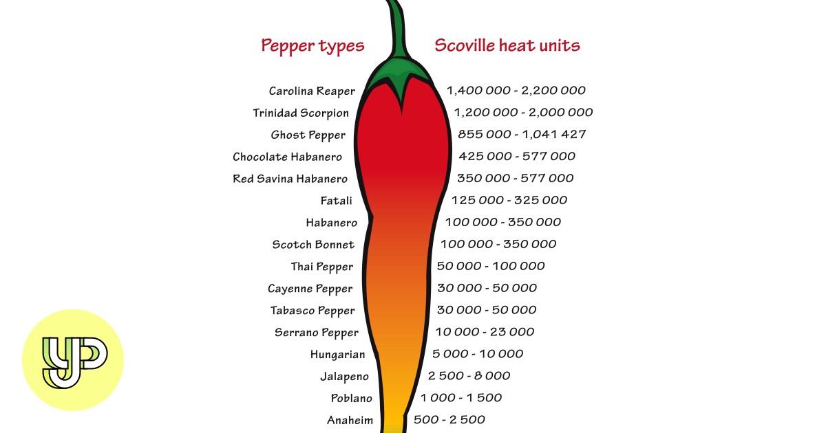 Hot or not? A visual guide to how spicy different chilli peppers are ...