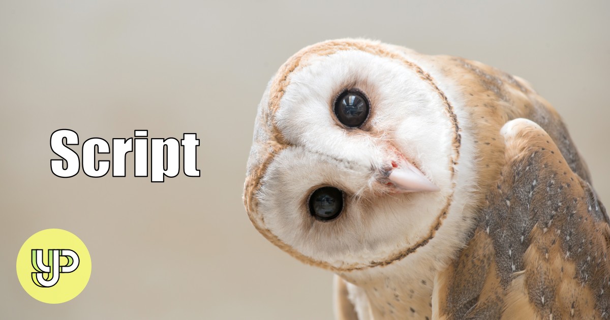 SCRIPT: The Owl Collector [February 19, 2019] - Young Post | South ...