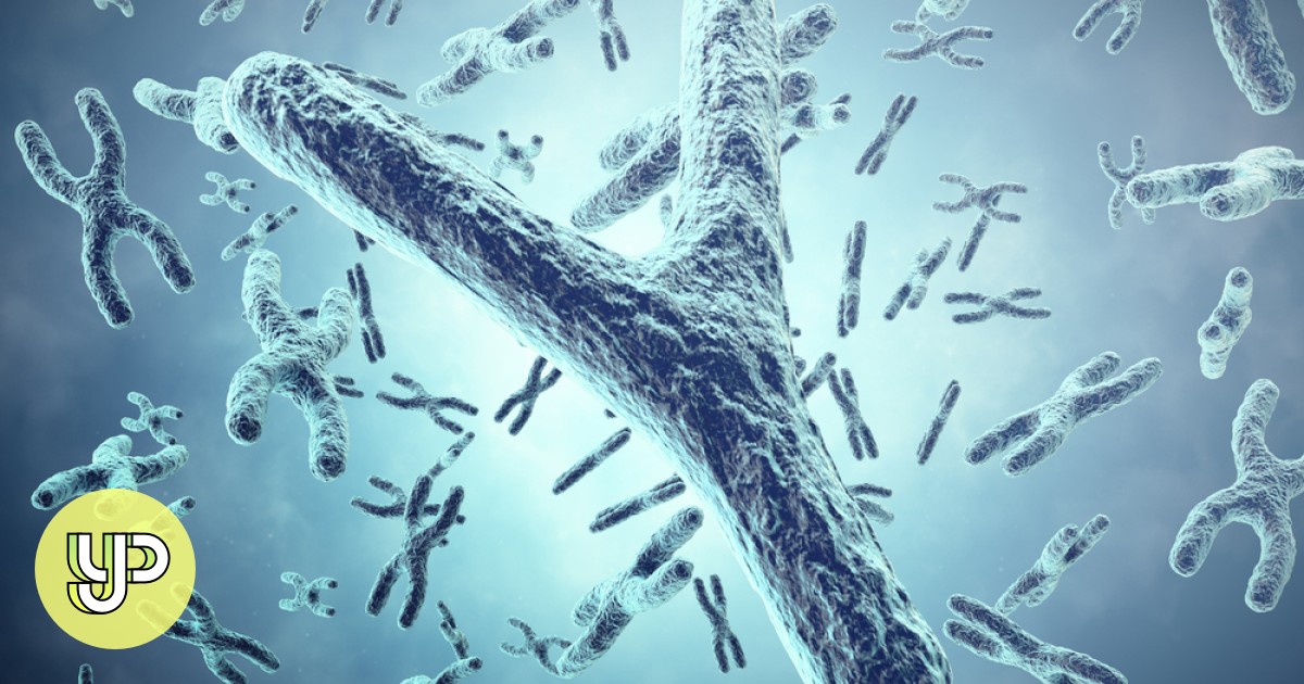 Serial killer in China - evaded capture for decades finally caught ...