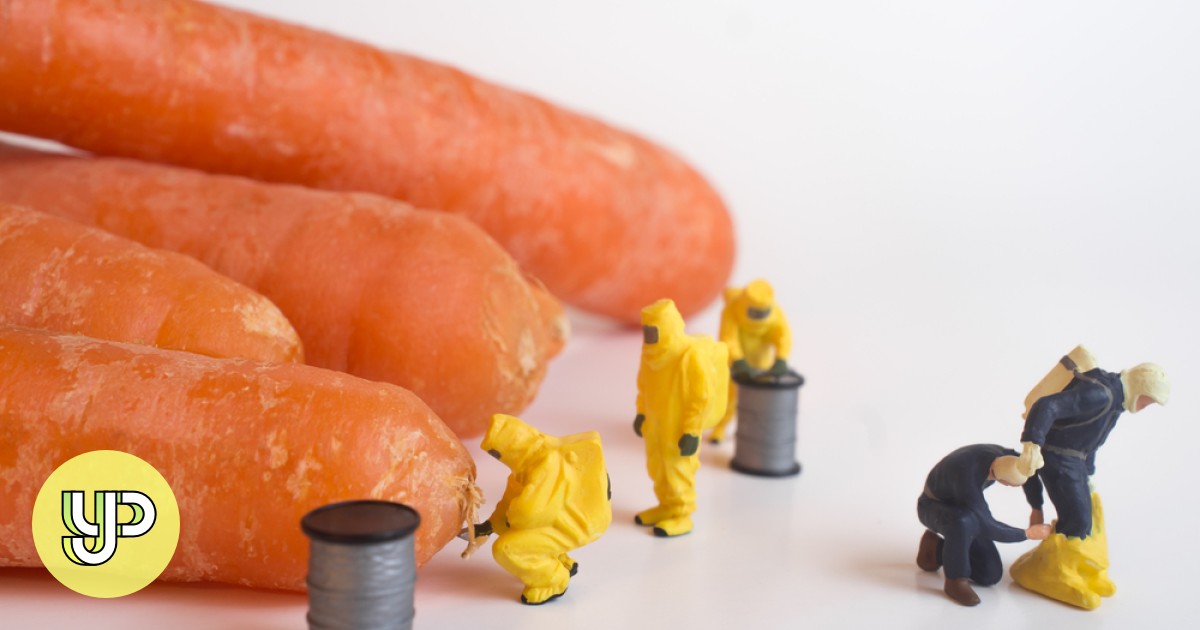 How to prepare and cook food safely...so you don't accidentally food ...