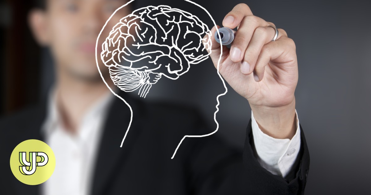 What's going on inside your head? Four cool facts about the brain ...