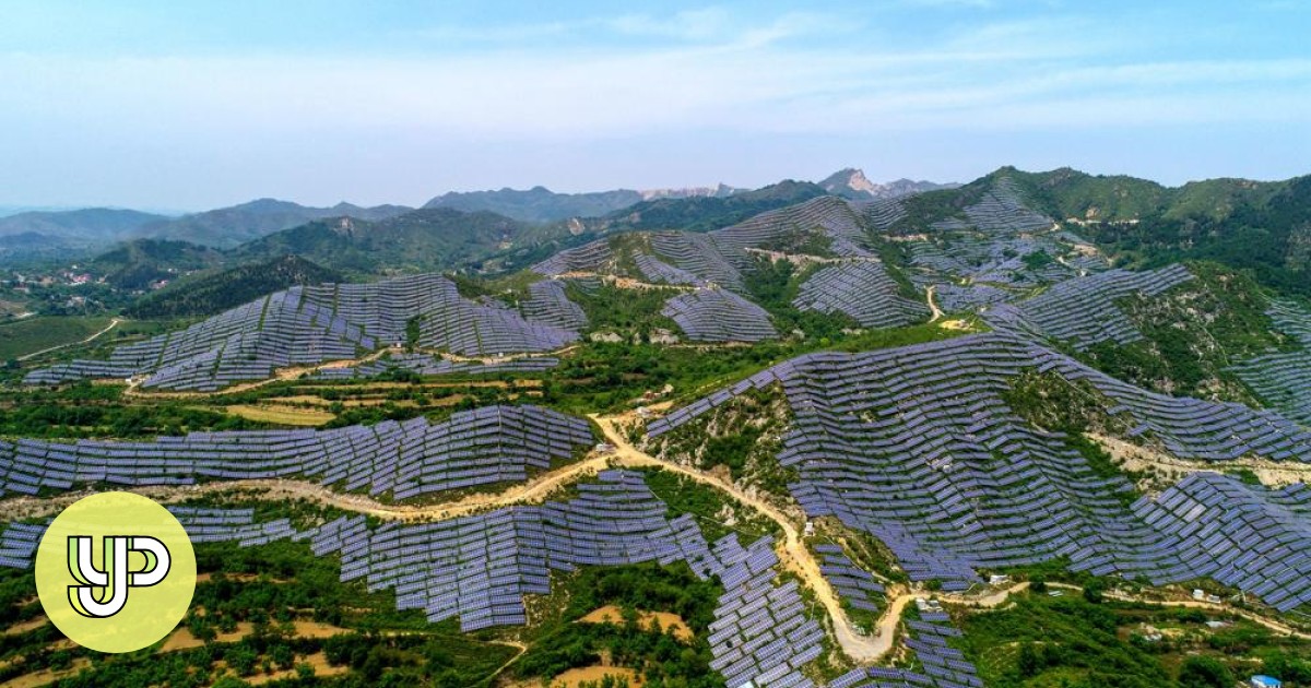 How solar energy can help us work towards a sustainable future - Young ...