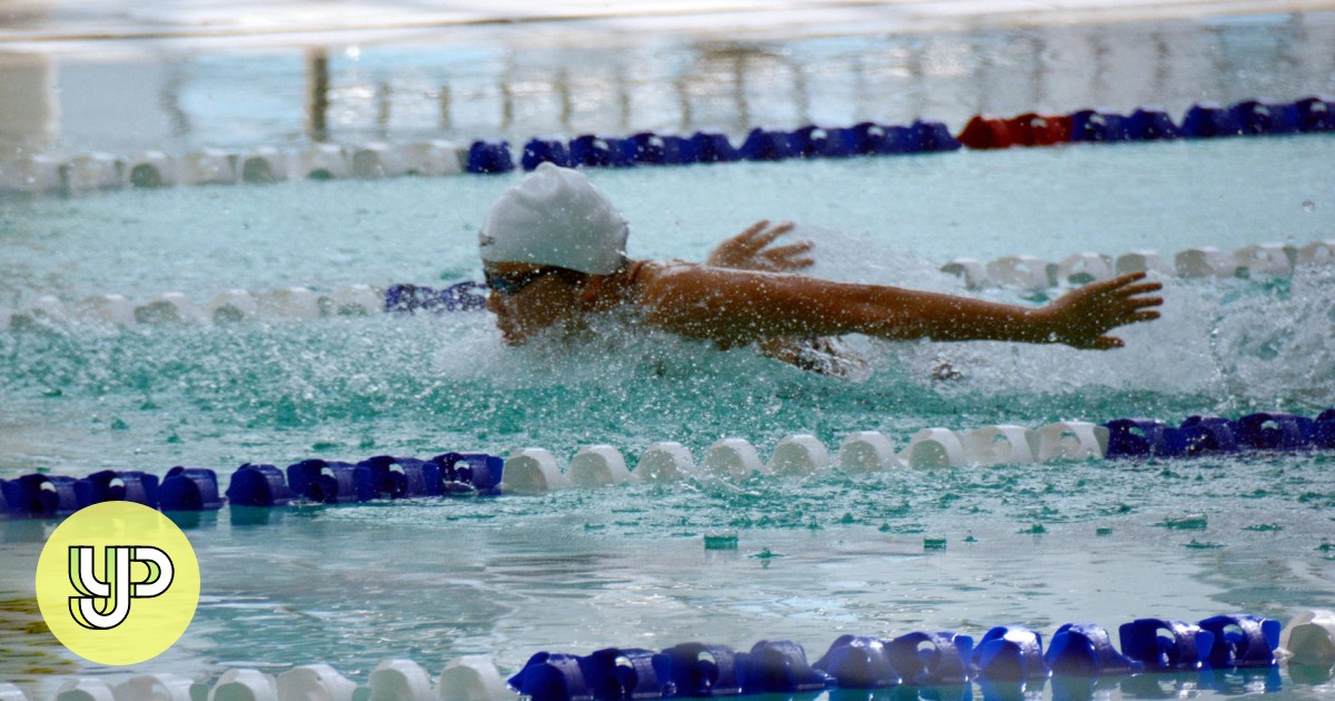 Splashing and record smashing at the inter-school swimming competition ...