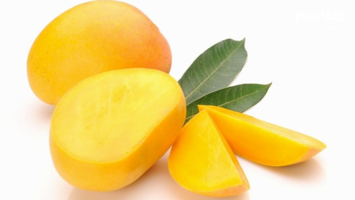 Seasons: mango mania | South China Morning Post