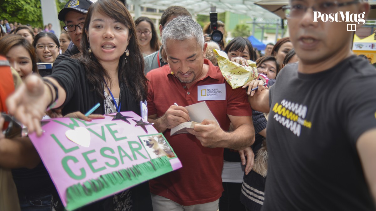 Dog whisperer Cesar Millan hits Stanley | South China Morning Post
