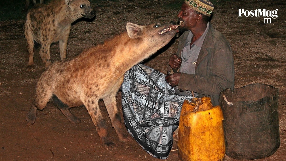 Harar: ancient Ethiopian city that reveres 'magical' hyenas | South ...