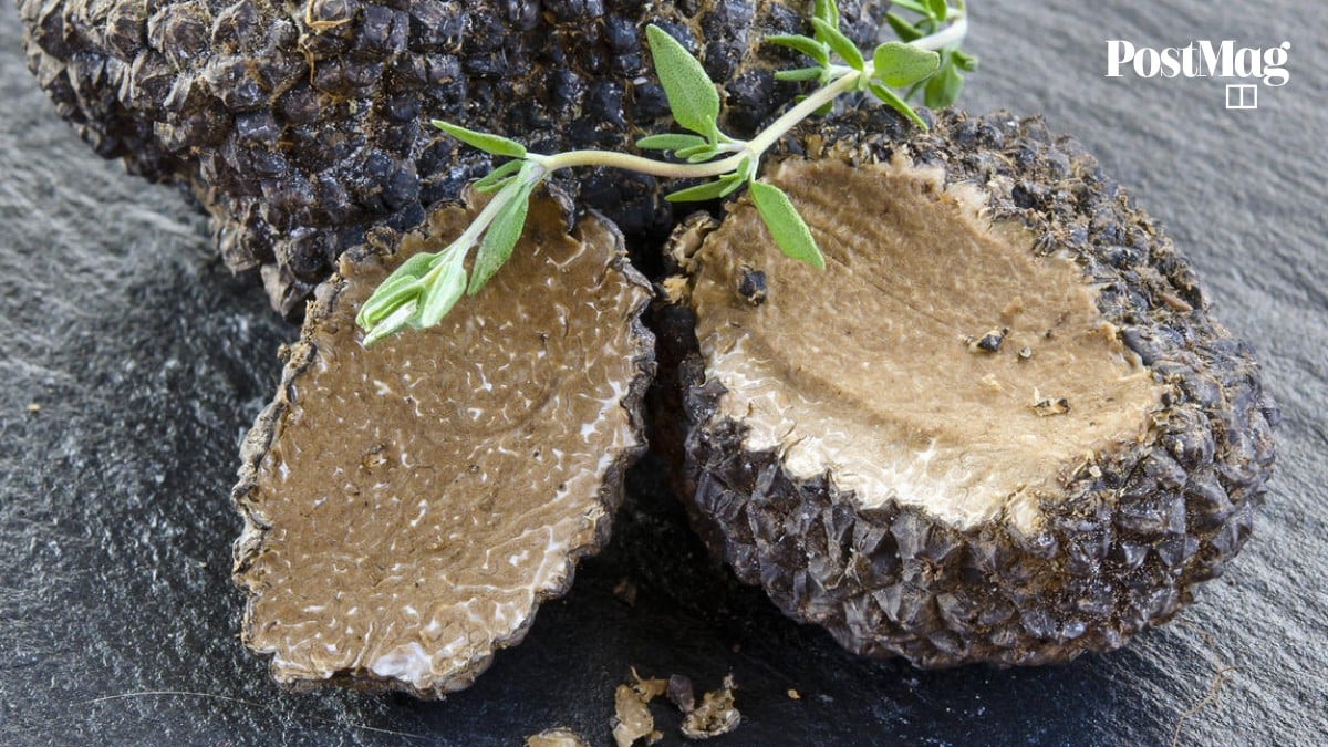 Susan Jung on black truffles and how to make the most of them | South ...