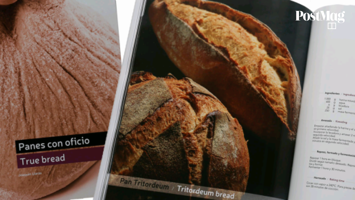 Food book: Panes con Oficio - bread recipes from Spain | South China ...
