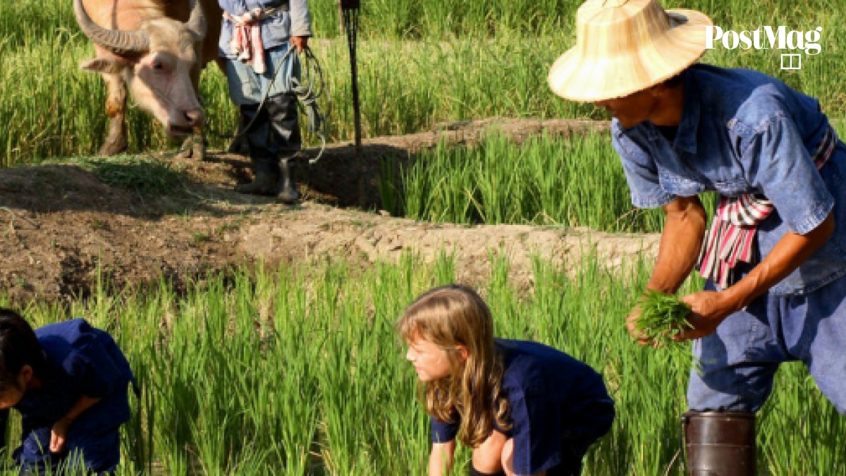 Travellers' Checks | 1956 road trip that gave birth to the hippie trail ...