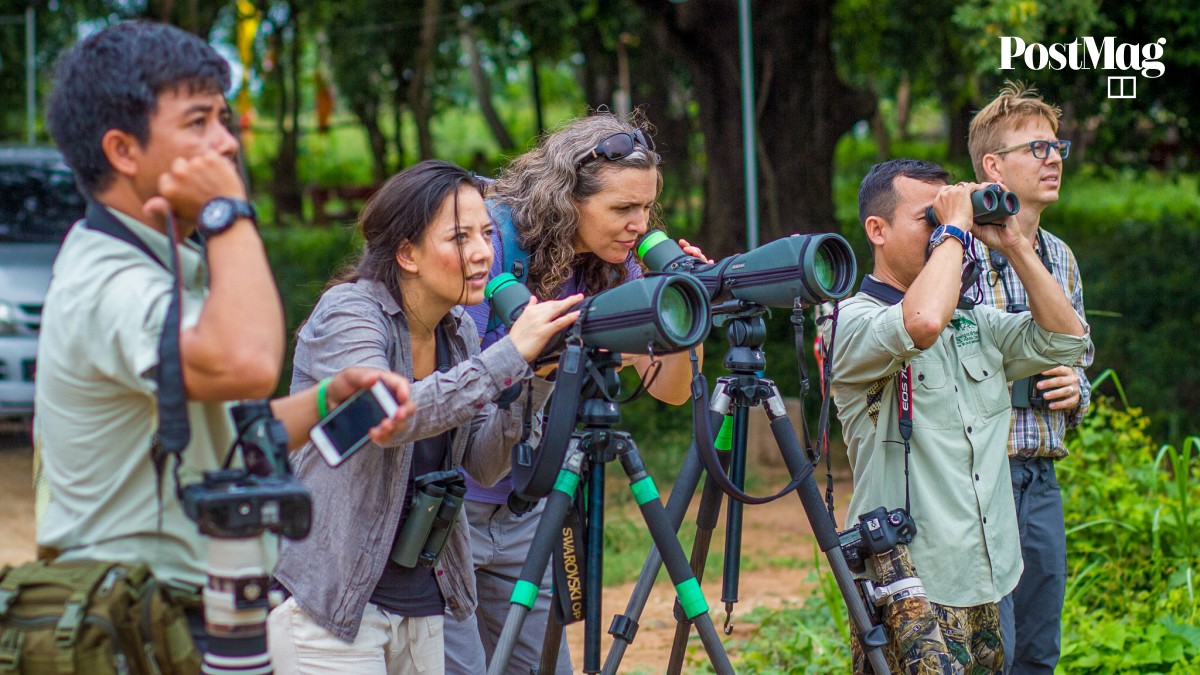 Twitcher tours: why birdwatching in Cambodia is expected to take flight ...