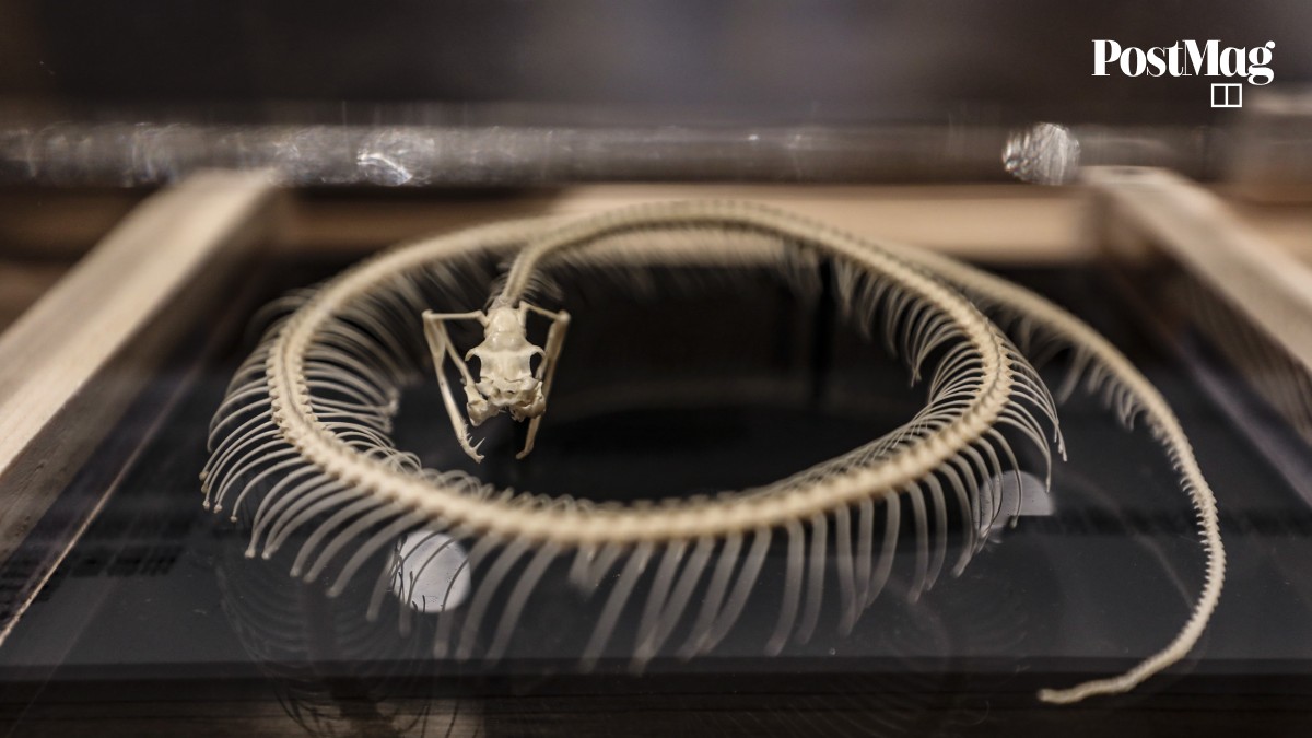 Hong Kong owes much of its understanding of its flora and fauna to ...