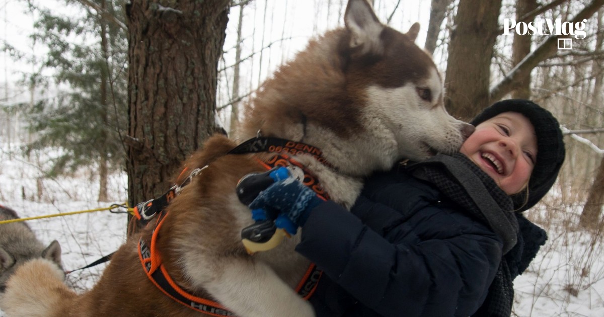 Review | The cognitive dissonance in adoring pets while eating meat and ...