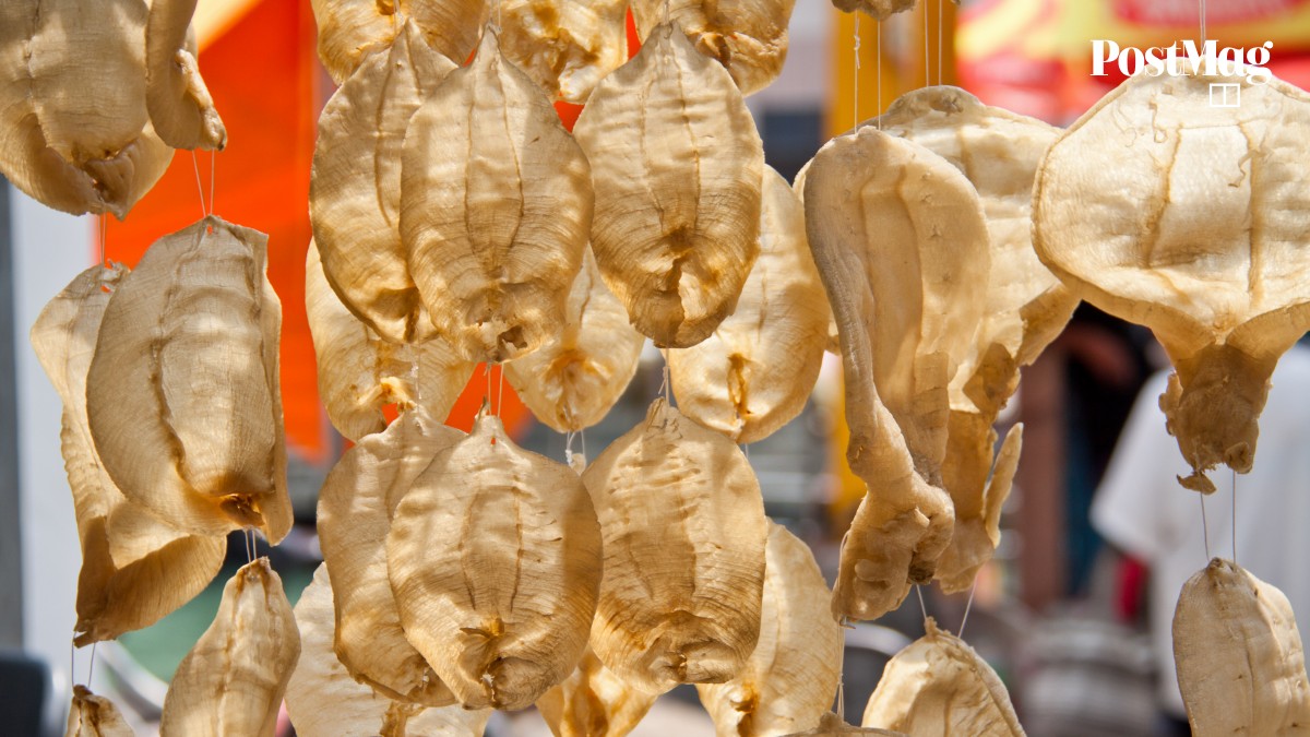 Reflections | Taking collagen is like the old Chinese belief that ...