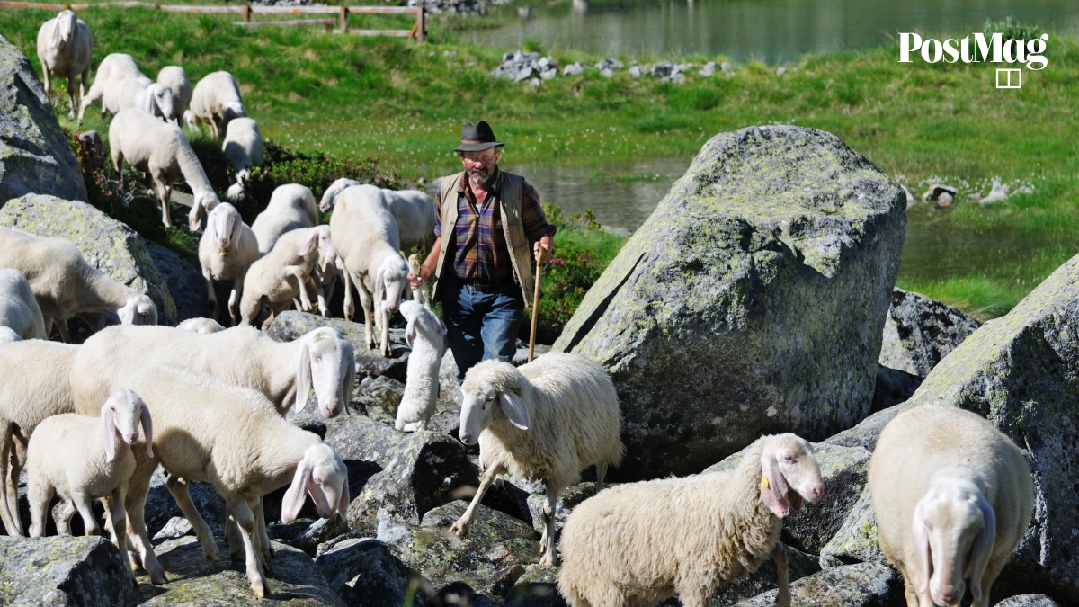 How we can tap non-human intelligence – that of other animals, and ...