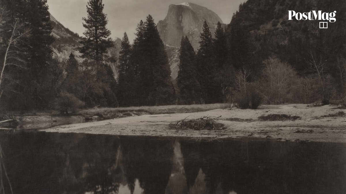 Slow photography: delicate, painterly forest landscapes of Japan’s ...