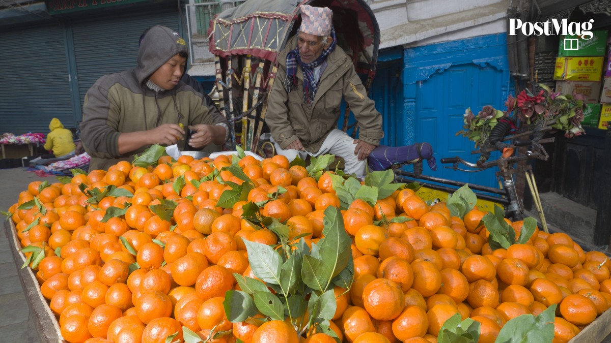 Language Matters | The orange’s origins: how it travelled from East to ...