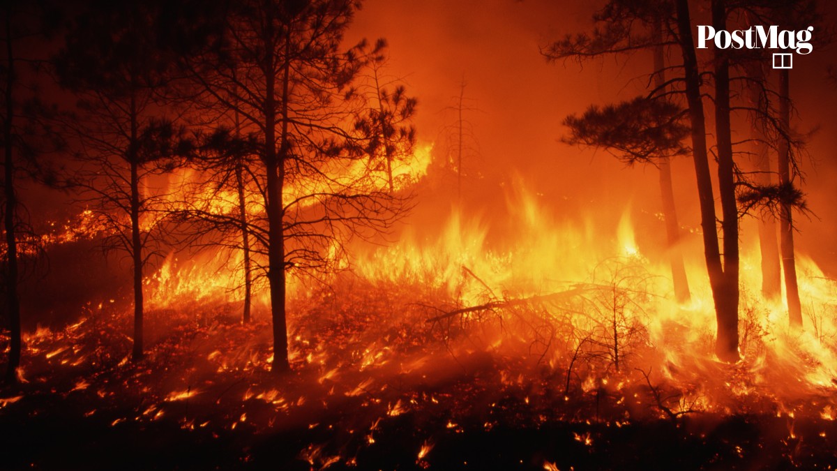 Language Matters | ‘Global boiling’? It’s not enough to seethe about it ...