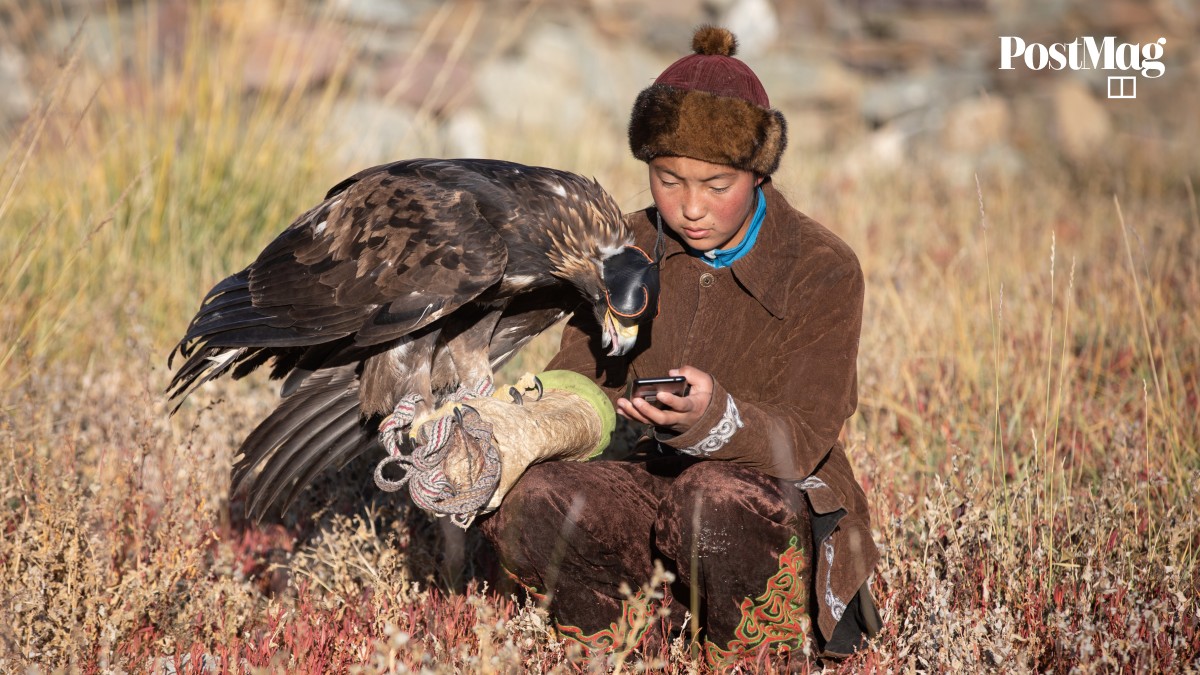 The real digital nomads: how, on the Mongolian steppe, mobile internet ...