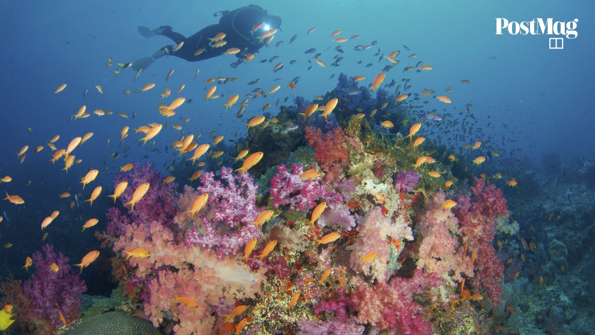 Fiji’s clear waters, white sand beaches and friendly islanders make it ...