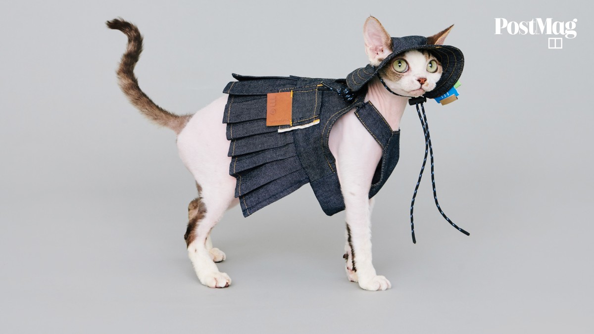 PostMag Christmas gift guide: 9 ideas for the chill island dweller ...