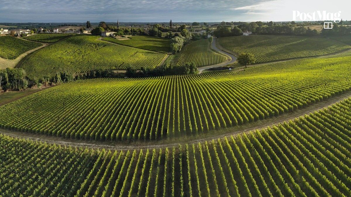 Three wines from the 2015 Bordeaux vintage that are worth splurging on ...