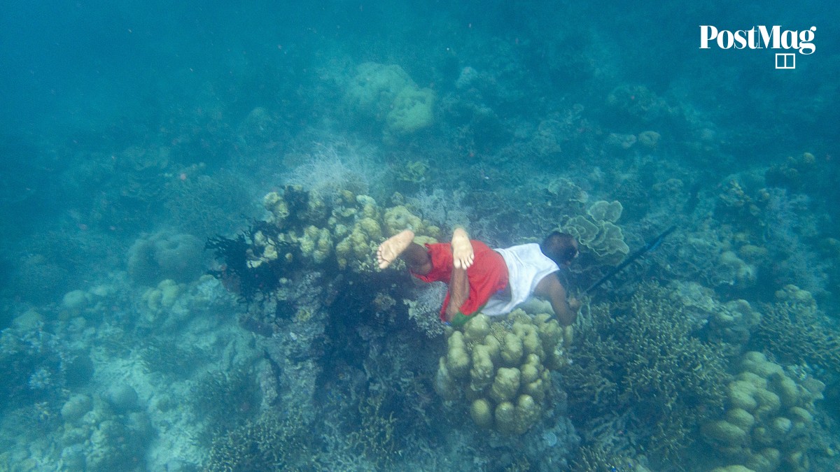 Indonesia’s Bajau people: the free-diving sea gypsies who have evolved ...