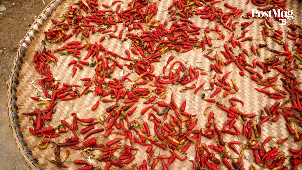 Reflections | How Asians embraced the chilli pepper | South China ...