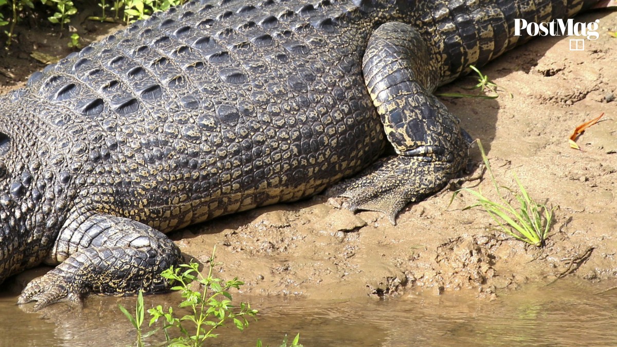 The gloriously empty Top End of Australia’s Northern Territory, home to ...
