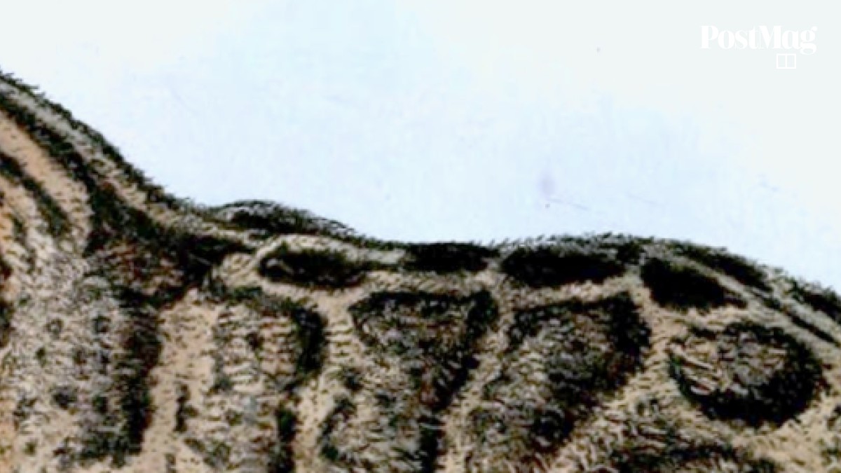 formosan clouded leopard rediscovered