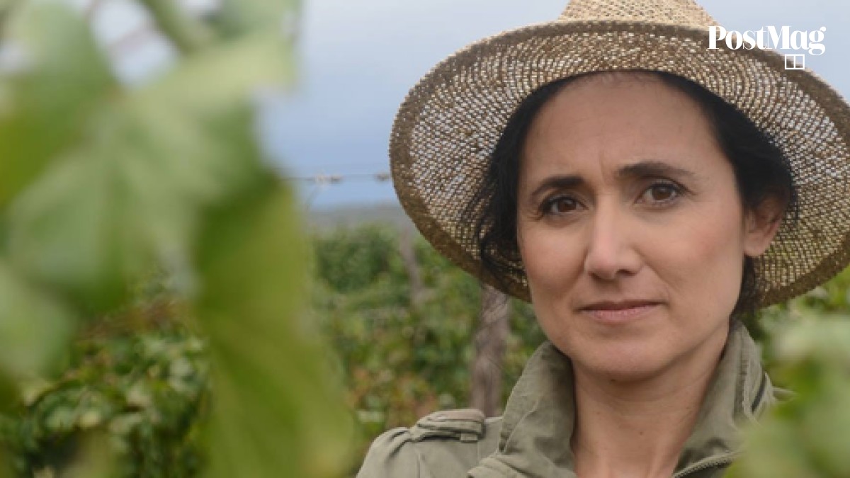 Grape & Grain | How scion of top Argentina wine family helped malbec ...