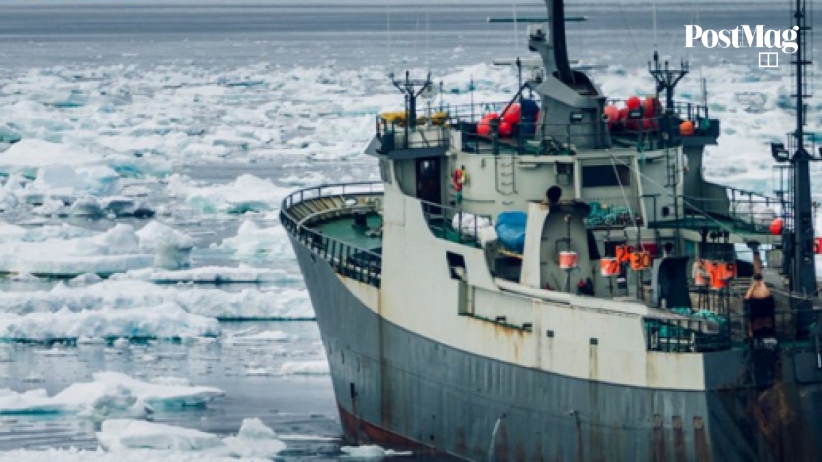 Review | Story of Sea Shepherd’s epic high-seas hunt for poachers ...
